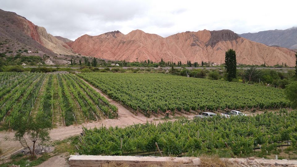 Extreme High-Altitude Wines from Argentina's Northern Valleys (Feb 2021 ...