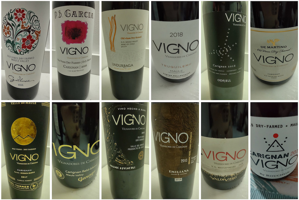 Chile: A Stylistic Journey From the Andes to the Coastal Ridge (May ...