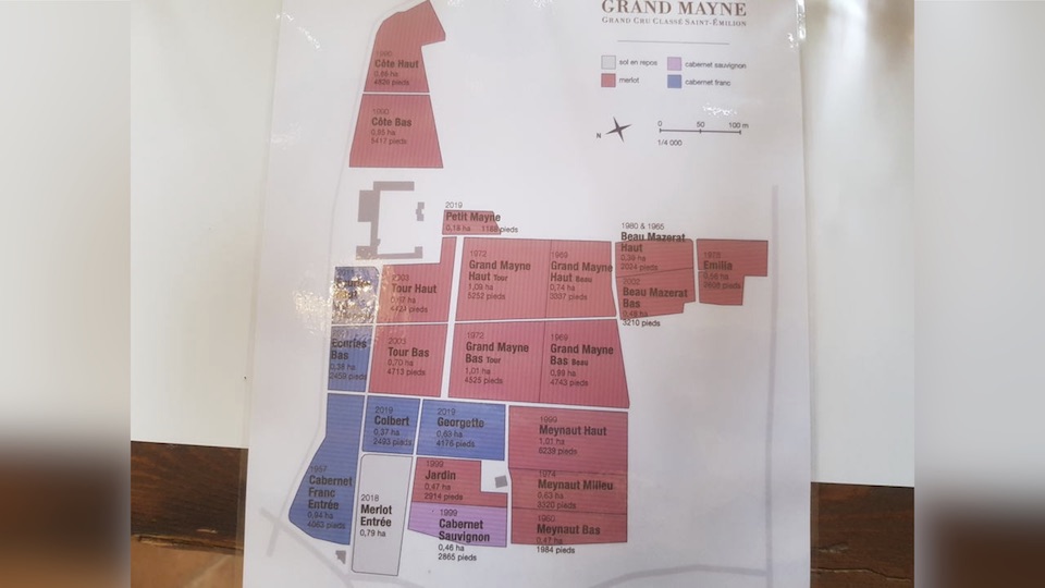 His Father’s Son: Grand Mayne 1955-2011 (May 2021) | Vinous - Explore ...