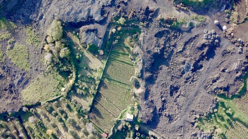 Sicily: The Island Nation (Jun 2021) | Vinous - Explore All Things Wine
