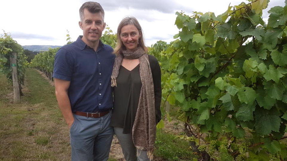 From Domesday to Now: Nyetimber (Sep 2021) | Vinous - Explore All ...