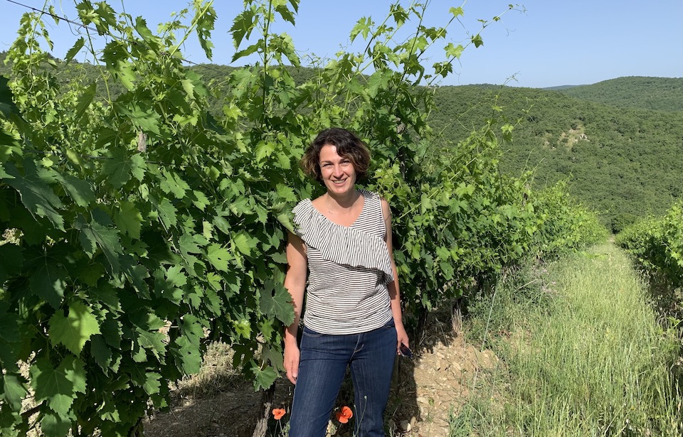 Chianti Classico and Beyond – 2018 & 2019 (Sep 2021) | Vinous - Explore ...