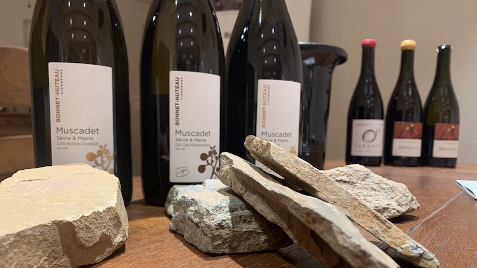 Muscadet: A Region in Crus Control (Nov 2021) | Vinous - Explore All ...