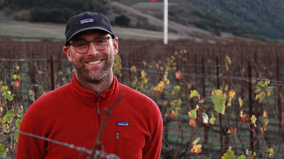 Breaking News: Justin Willett Acquires Iconic Fiddlestix Vineyard (Nov ...