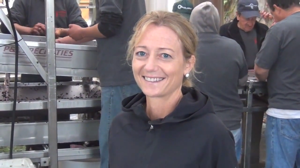 The 2019 Napa Valley Cabernets: A Deep Dive (Jan 2022) | Vinous ...