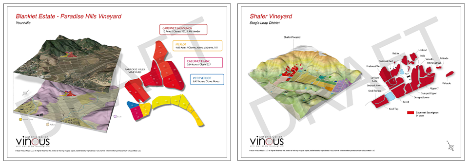 The 2019 Napa Valley Cabernets: A Deep Dive (Jan 2022) | Vinous ...