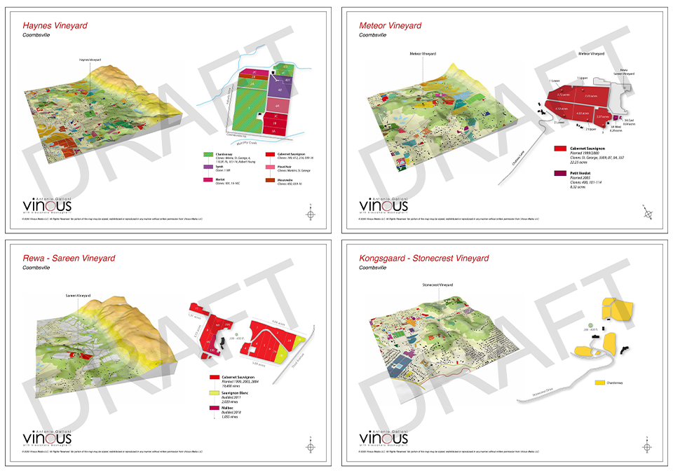 The 2019 Napa Valley Cabernets: A Deep Dive (Jan 2022) | Vinous ...
