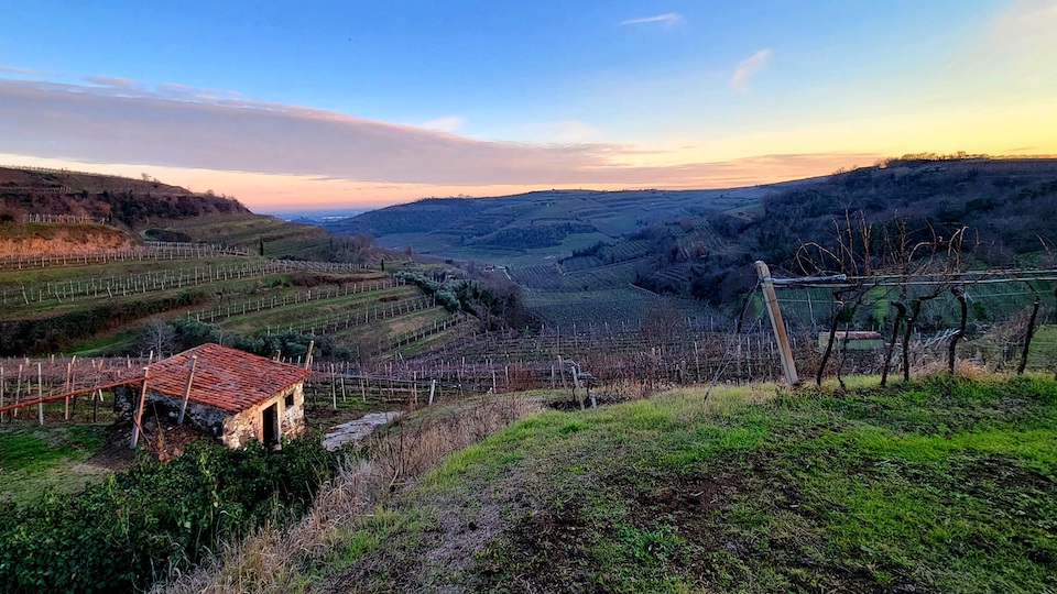 Soave - The Long Road Home (Apr 2022) | Vinous - Explore All Things Wine