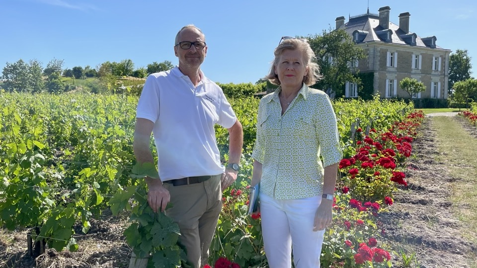 This Is Not Just Another Winery: Haut-Bailly 1964-2018 (Apr 2022 ...