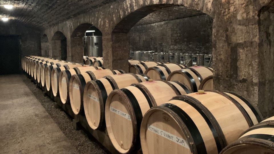 Domaine Leroy: A Voyage Across the 2019s (Jul 2022) | Vinous - Explore ...