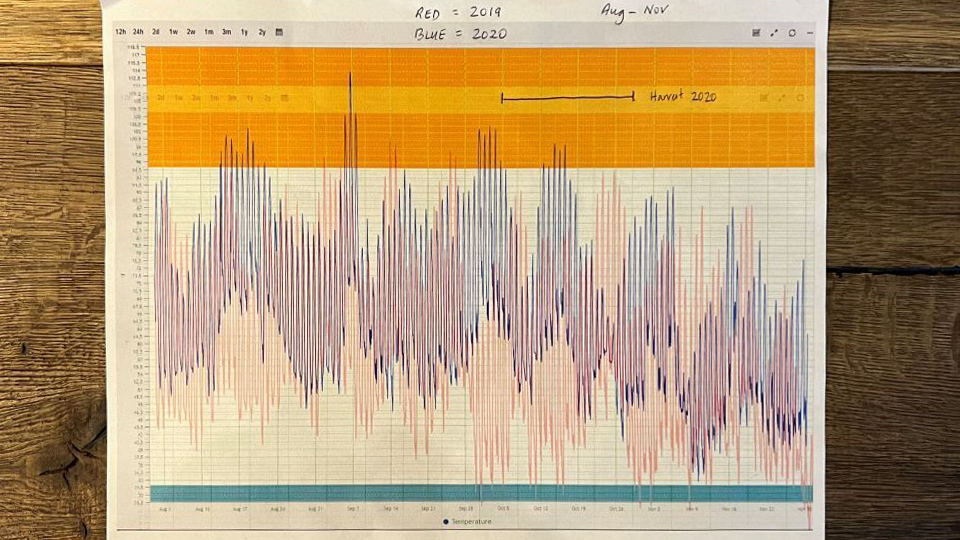 Santa Barbara: A Rare Bright Spot for California in 2020 (Aug 2022 ...