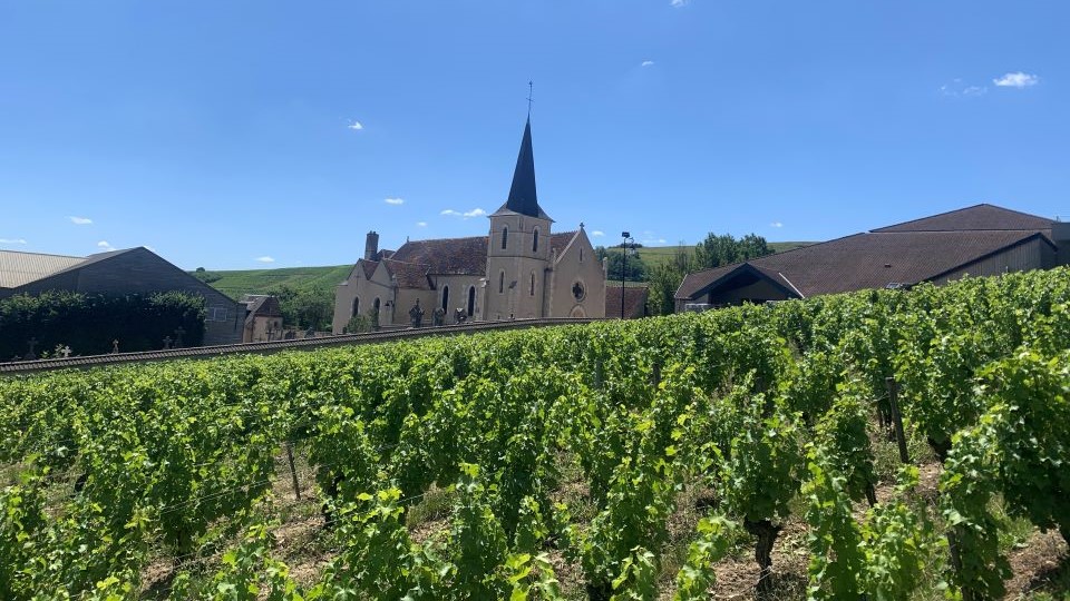 Sancerre: Finding Its Place (Aug 2022) | Vinous - Explore All Things Wine
