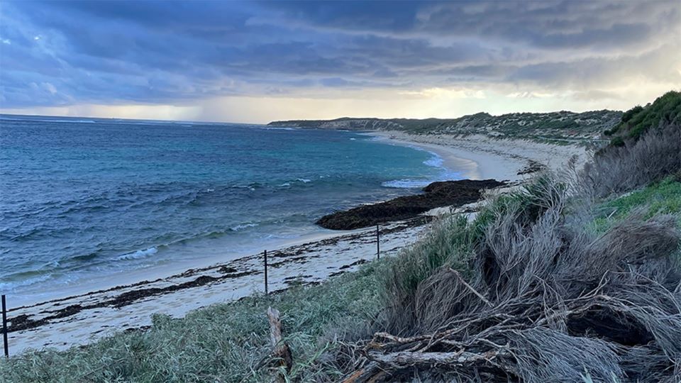 The Not So Wild West: Margaret River in the Groove (Sep 2022) | Vinous ...