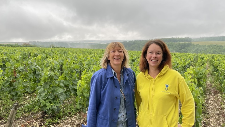 Swings and Roundabouts: Chablis 2020/2021 (Sep 2022) | Vinous - Explore ...