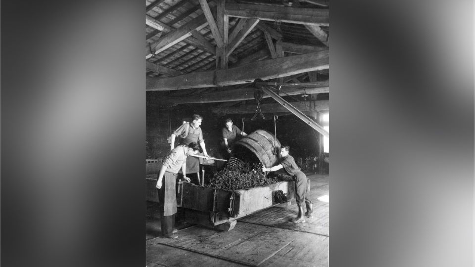 Léoville-Poyferré 1936-2018 (Sep 2022) | Vinous - Explore All Things Wine