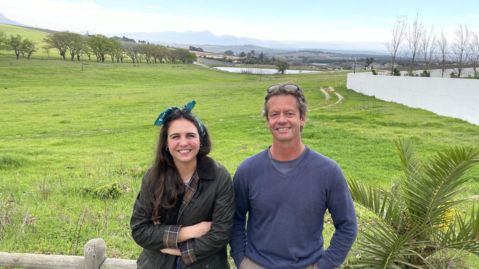 Growing Up ‘n Getting Wiser: South Africa in 2022 (Sep 2022) | Vinous ...