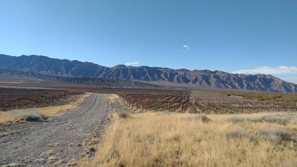 Nicolas Bemberg 2022