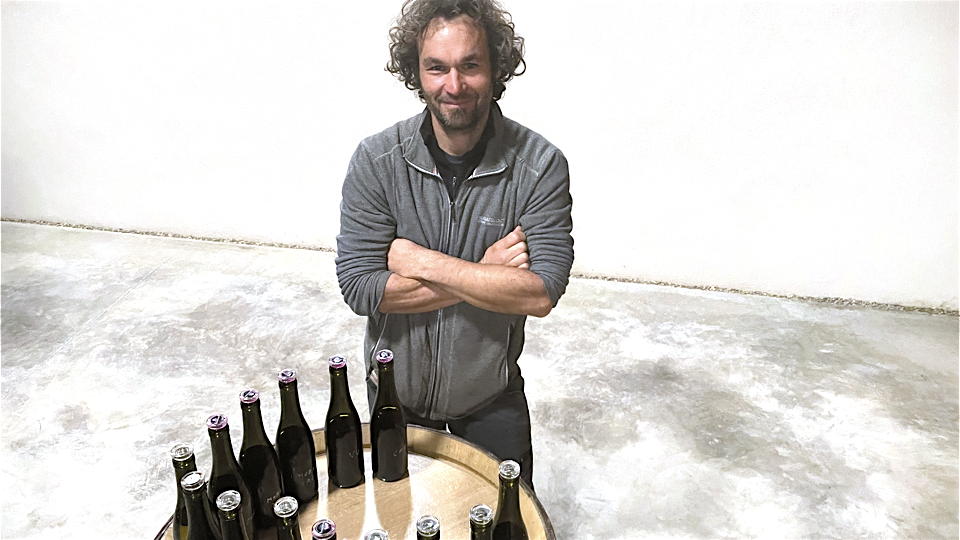 Servants of the Seasons: Burgundy 2021 (Jan 2023) | Vinous - Explore ...