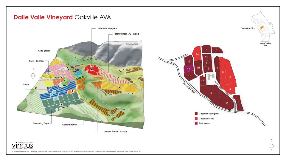 Napa Valley: The Frantic 2020s & Stunning 2021s (Feb 2023) | Vinous ...