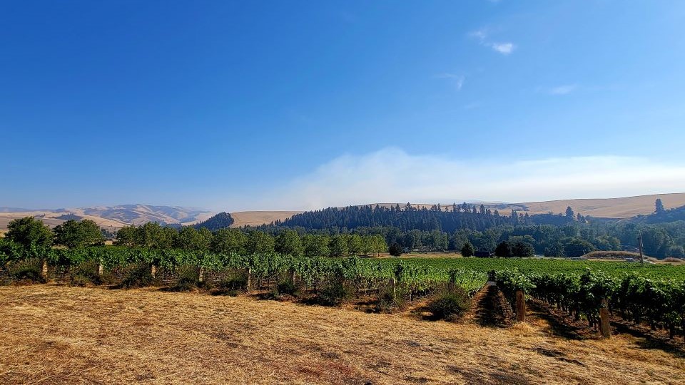 Against All Odds: Washington State’s 2020s and 2019s (Mar 2023 ...