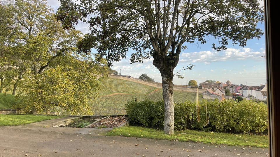 Money Well Spent: Domaine de L’Arlot: 1959-2019 (Mar 2023) | Vinous ...