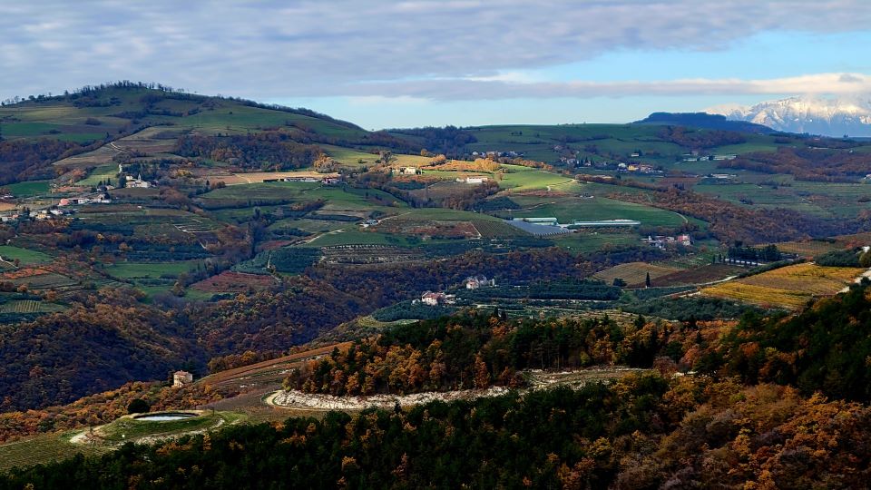 Veneto: The Land of Opportunity (Mar 2023) | Vinous - Explore All ...