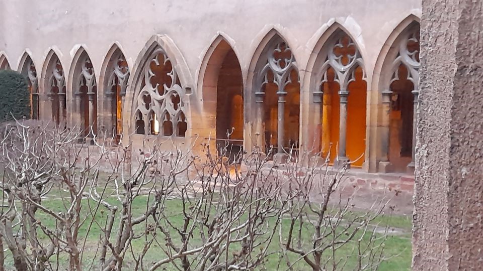 Alsace 2020s and 2021s: Just like Janus (Apr 2023) | Vinous - Explore ...