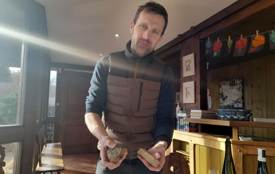 Alsace 2021s and 2020s – A Late Arrival in the Pinot Noir Pantheon (Apr ...