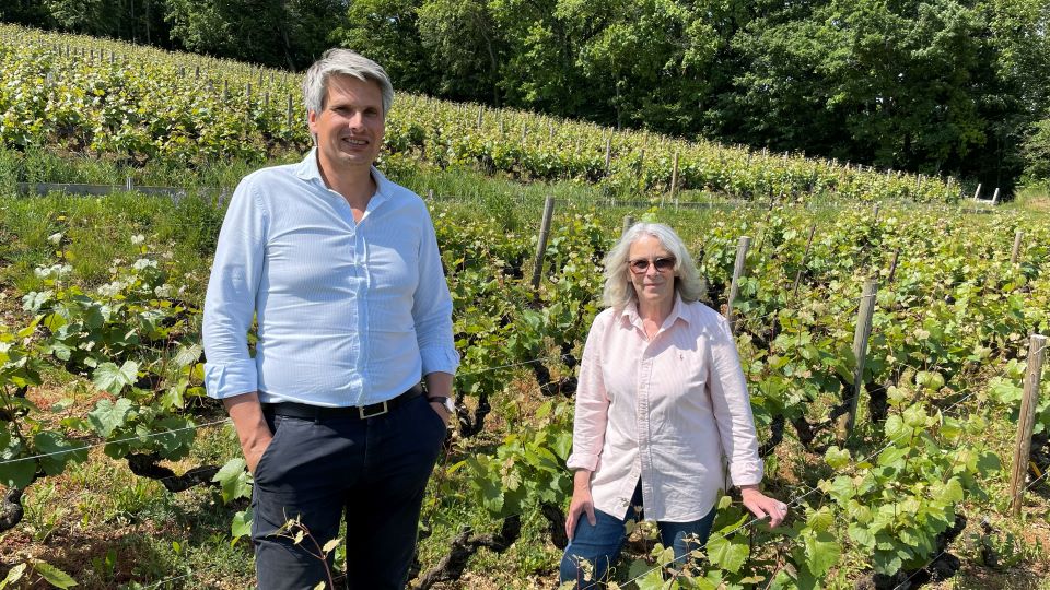 Burgundy Focus 4: Ponsot’s Clos de la Roche & Morey Monts Luisants 1934-2019 (May 2023) | Vinous ...