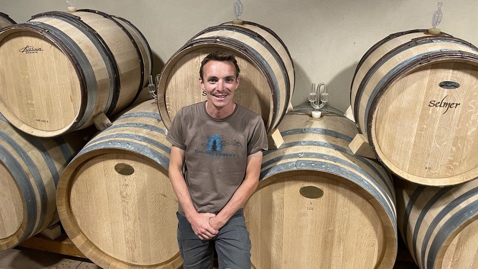 Moving On Up: Mâconnais 2021 & 2022 (Aug 2023) | Vinous - Explore All ...