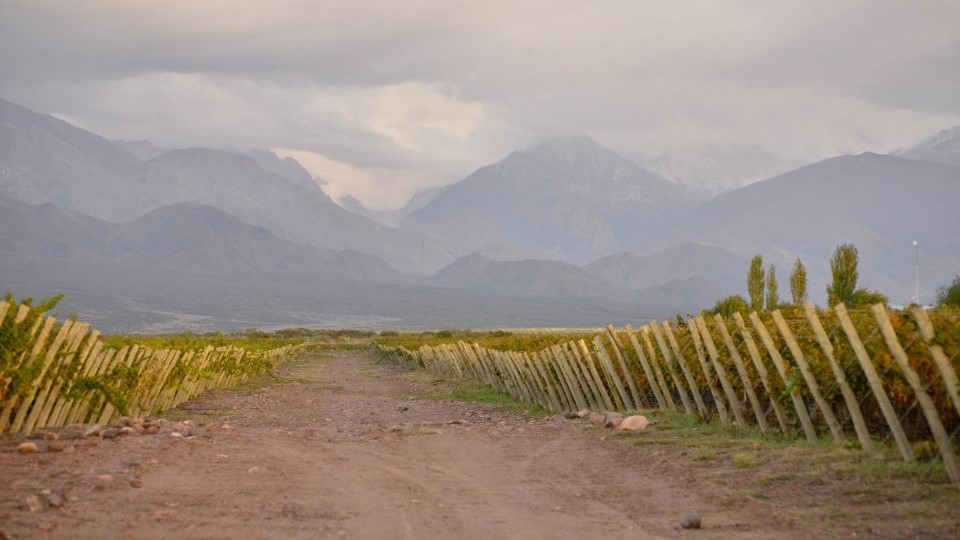 The Uco Valley: Where Diverse Terroirs Work Their Magic (Sep 2023 ...