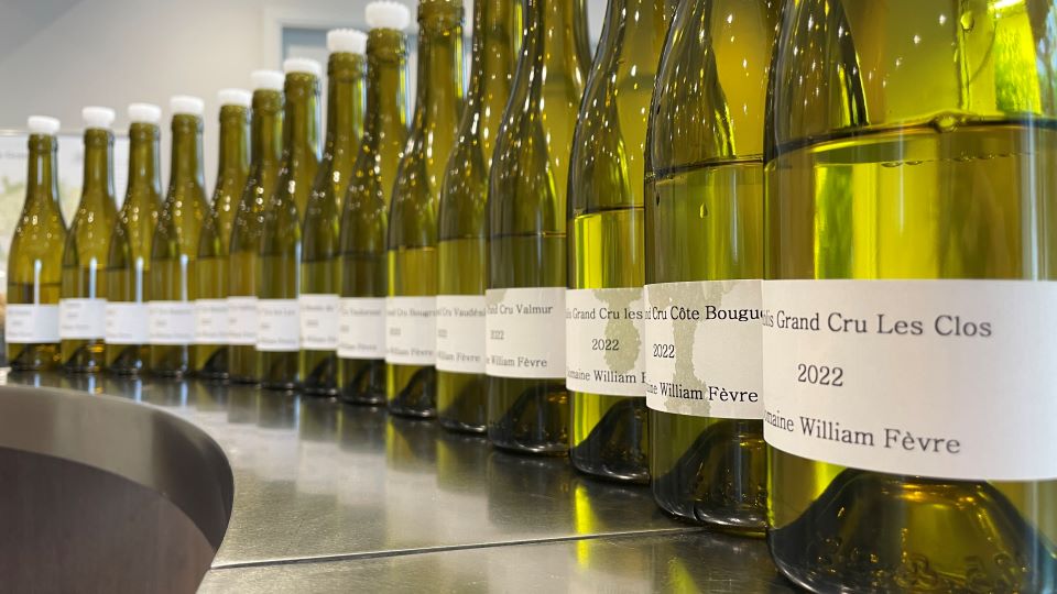 Where Art Thou Chablis? - Chablis 2021 & 2022 (Sep 2023) | Vinous ...