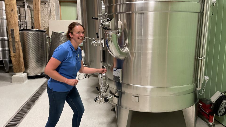 Where Art Thou Chablis? - Chablis 2021 & 2022 (Sep 2023) | Vinous ...