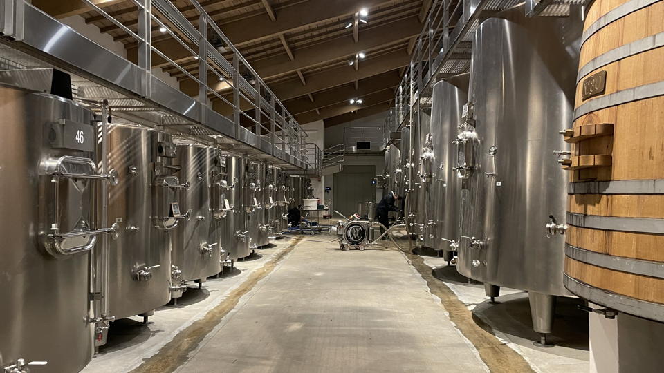 Margaux Focus 3: Château Margaux (Sep 2023) | Vinous - Explore All ...