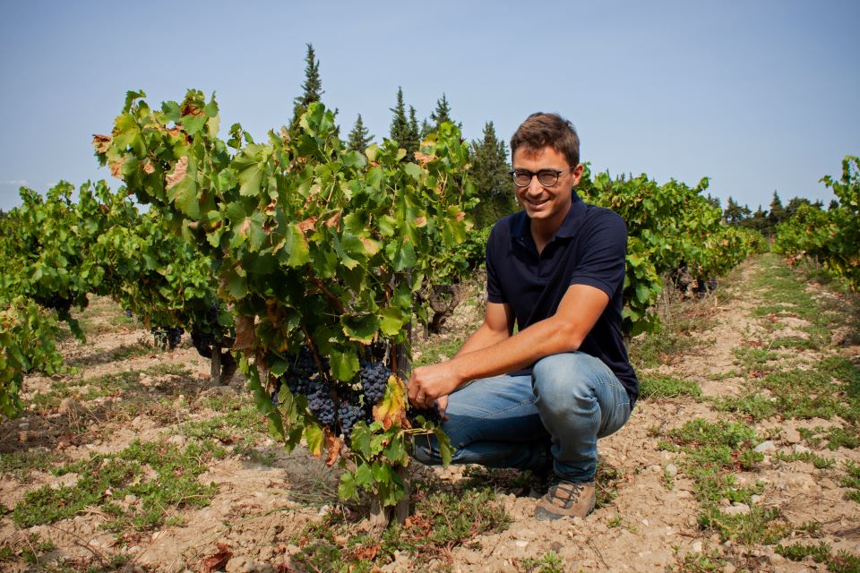 Vacqueyras New Releases: Walking the Underdog (Nov 2023) | Vinous ...
