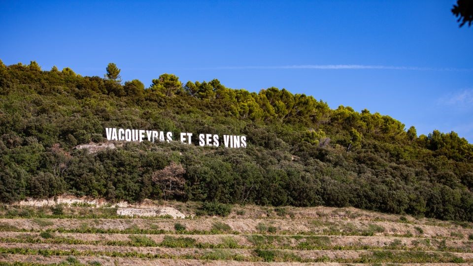 Vacqueyras New Releases: Walking the Underdog (Nov 2023) | Vinous ...