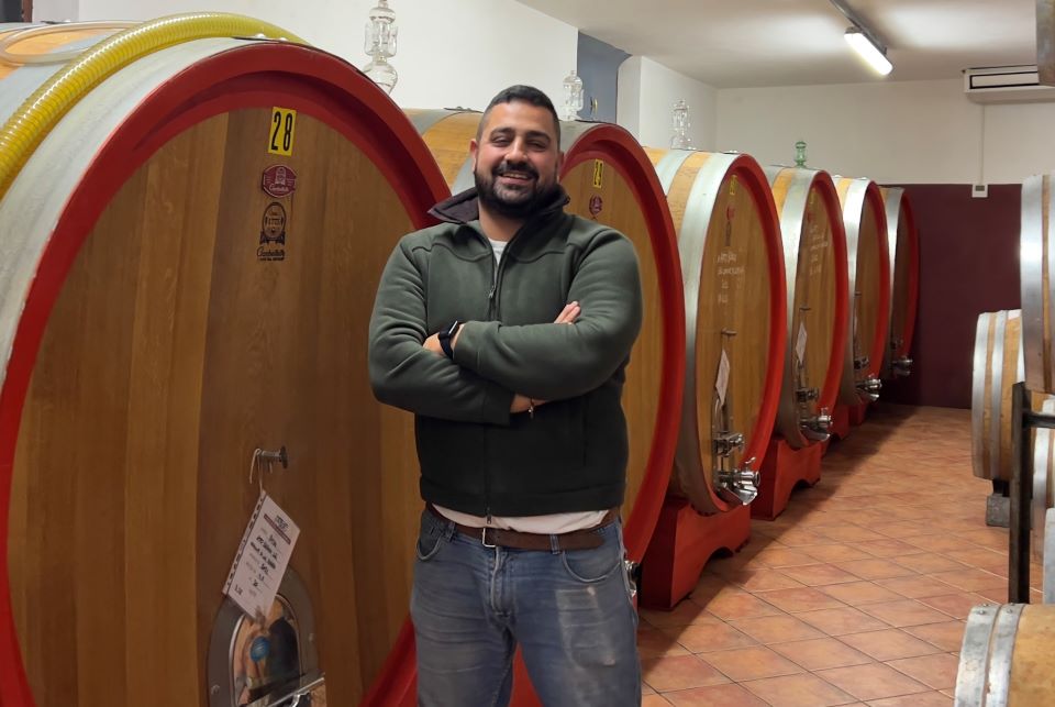 2020 Barolo: Selective Excellence (Jan 2024) | Vinous - Explore All ...