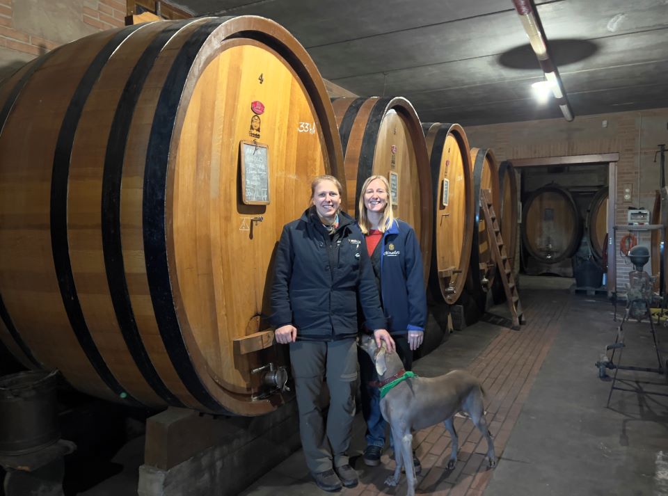 2020 Barolo: Selective Excellence (Jan 2024) | Vinous - Explore All ...