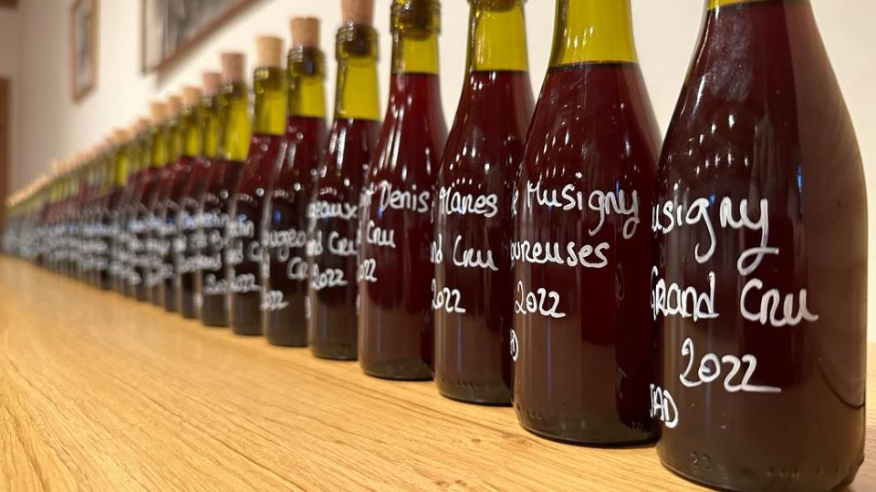 Fair Warning: Burgundy 2022 - The Market (Jan 2024) | Vinous - Explore ...