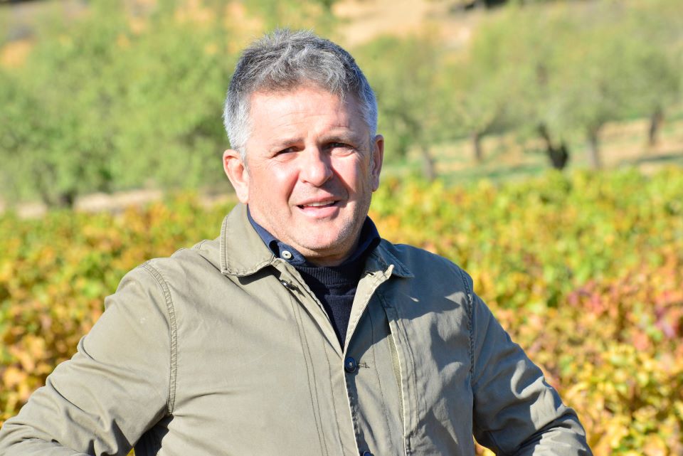 The Many Riojas of Rioja: A Tale of Forking Paths (Apr 2024) | Vinous ...