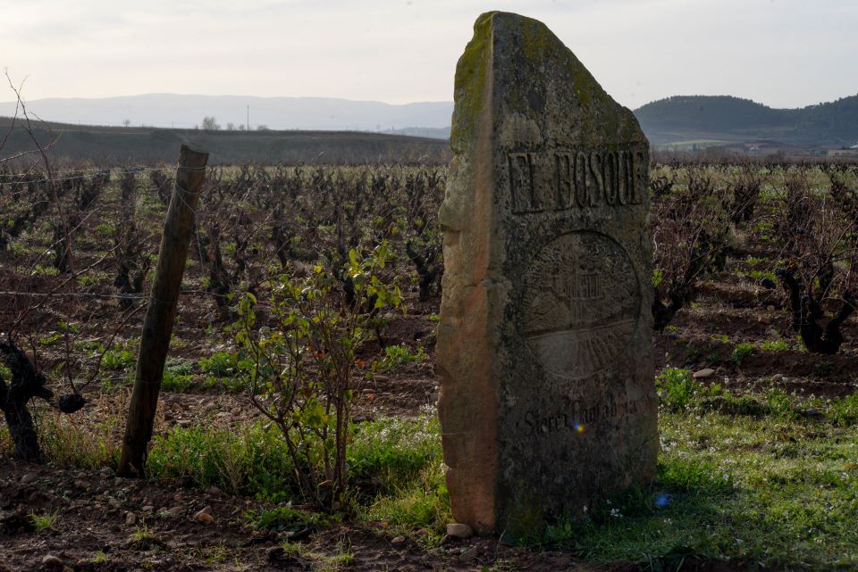 The Many Riojas of Rioja: A Tale of Forking Paths (Apr 2024) | Vinous ...