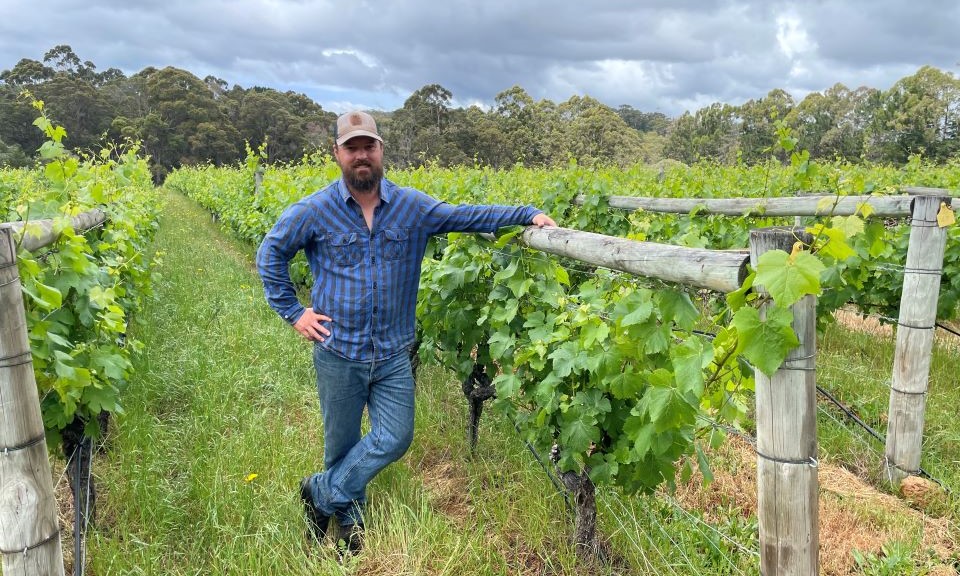 The Yin and the Yang of Western Australia (May 2024) | Vinous - Explore ...