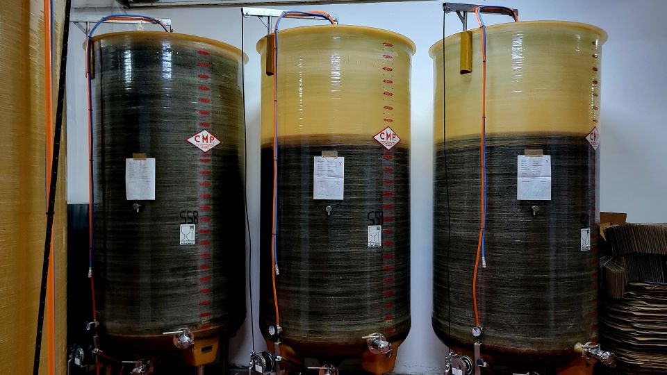 Unveiling the Diverse Palette of Sicily: New Releases and Beyond (Jun ...