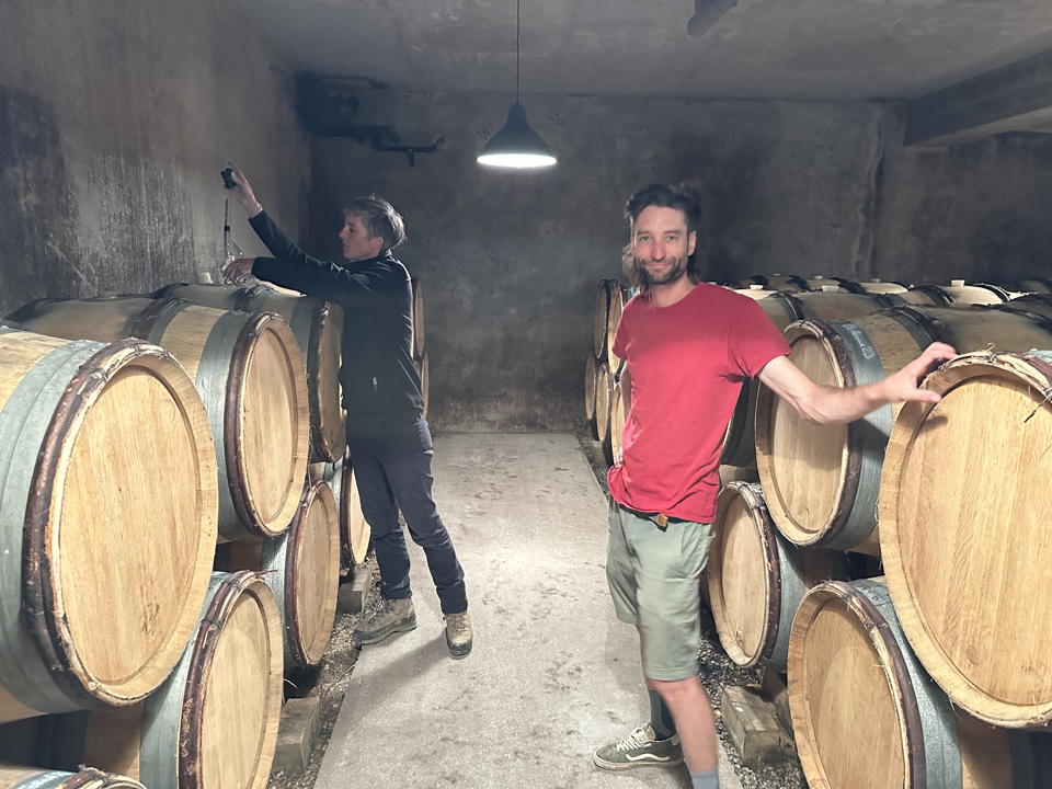 Chablis 2022-2023: Here Comes the Sun King (Aug 2024) | Vinous ...