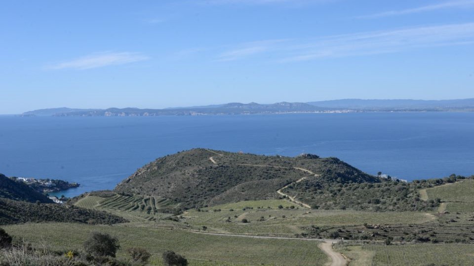 The Rambunctious Catalan Mediterranean and Beyond (Sep 2024) | Vinous ...