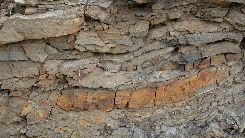 From Revolution to Evolution: The Garnatxas and Cariñenas of Priorat ...
