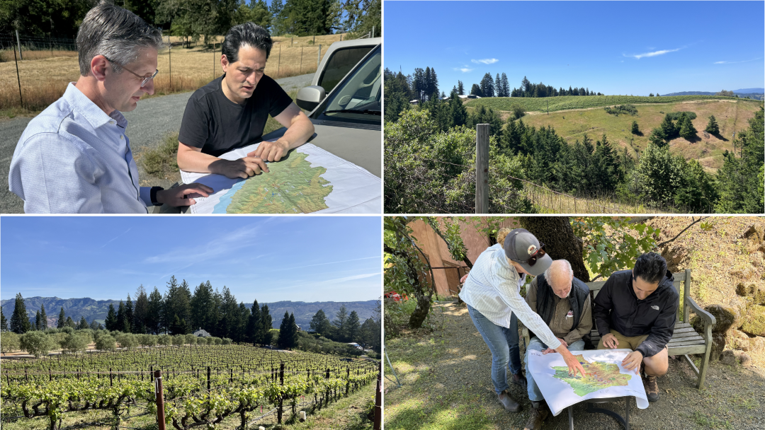 2024: The Year in Review…And What a Year It Was (Dec 2024) | Vinous ...