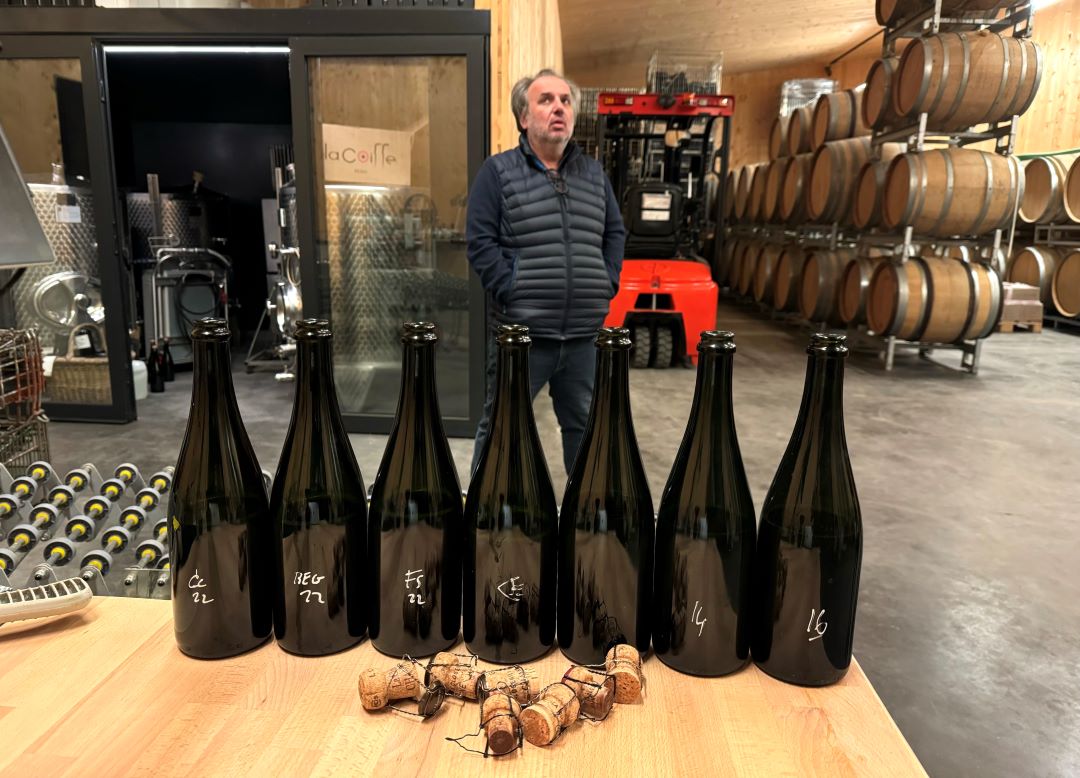 2025 Champagne: New Releases (Apr 2025) | Vinous - Explore All Things Wine