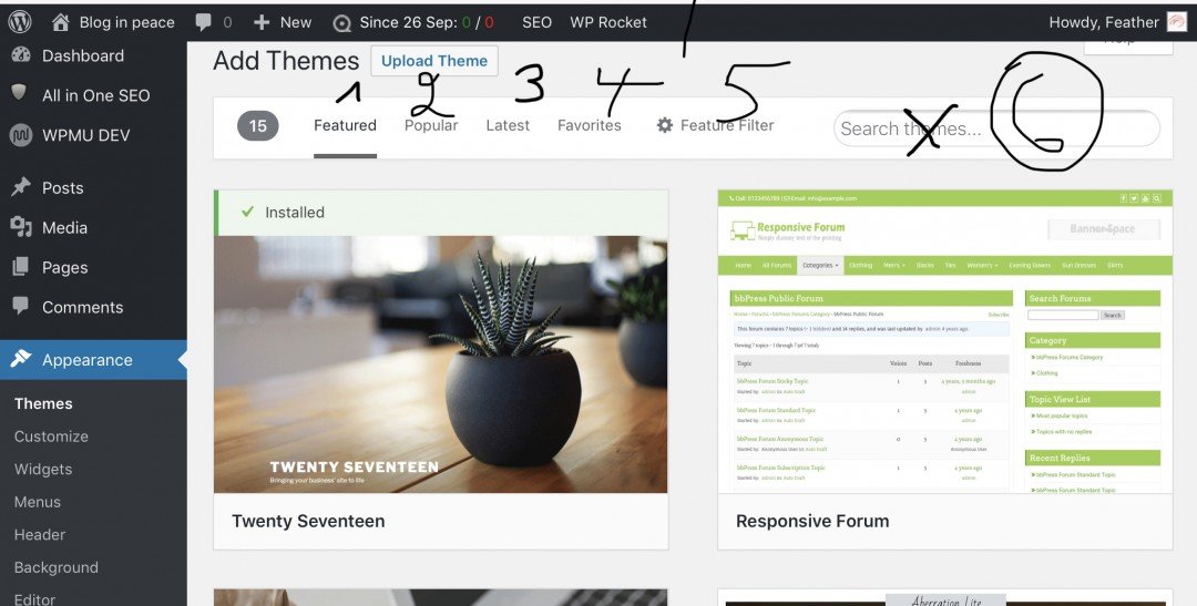 How to install or change a theme