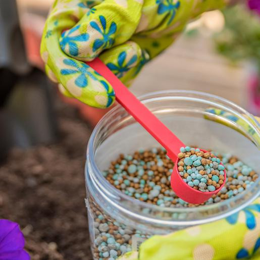 8 Easy Steps Of How To Grow Beets In Containers In 2023